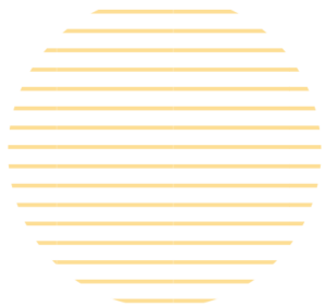 Inicio - Miami Virtual School